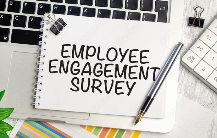 Best Employee Engagement Survey Software in 2026 - Porto - Best ...